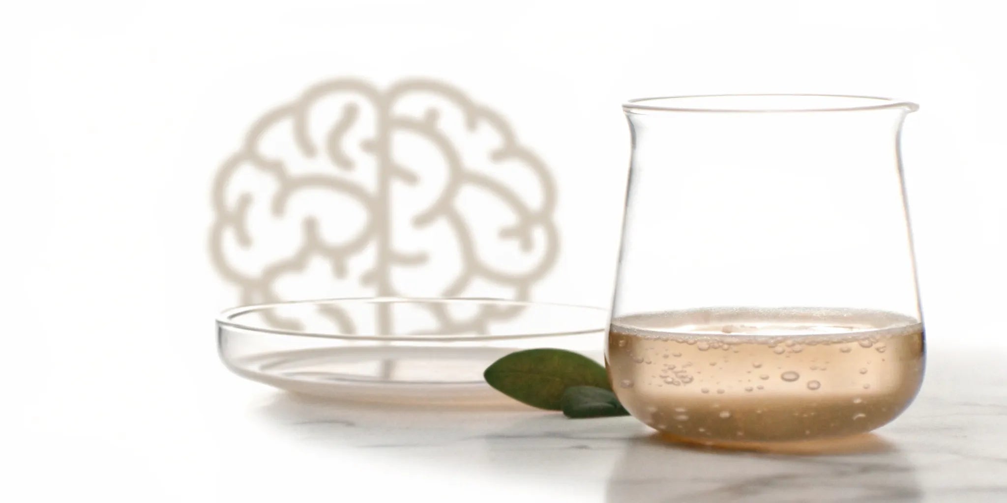 Postbiotics for Mood Support: The Ultimate Guide – secondkind